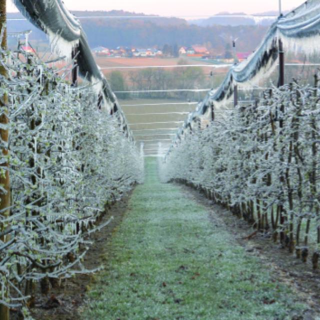 A Guide to Wobbling Sprinklers Irrigation for Frost Protection ...